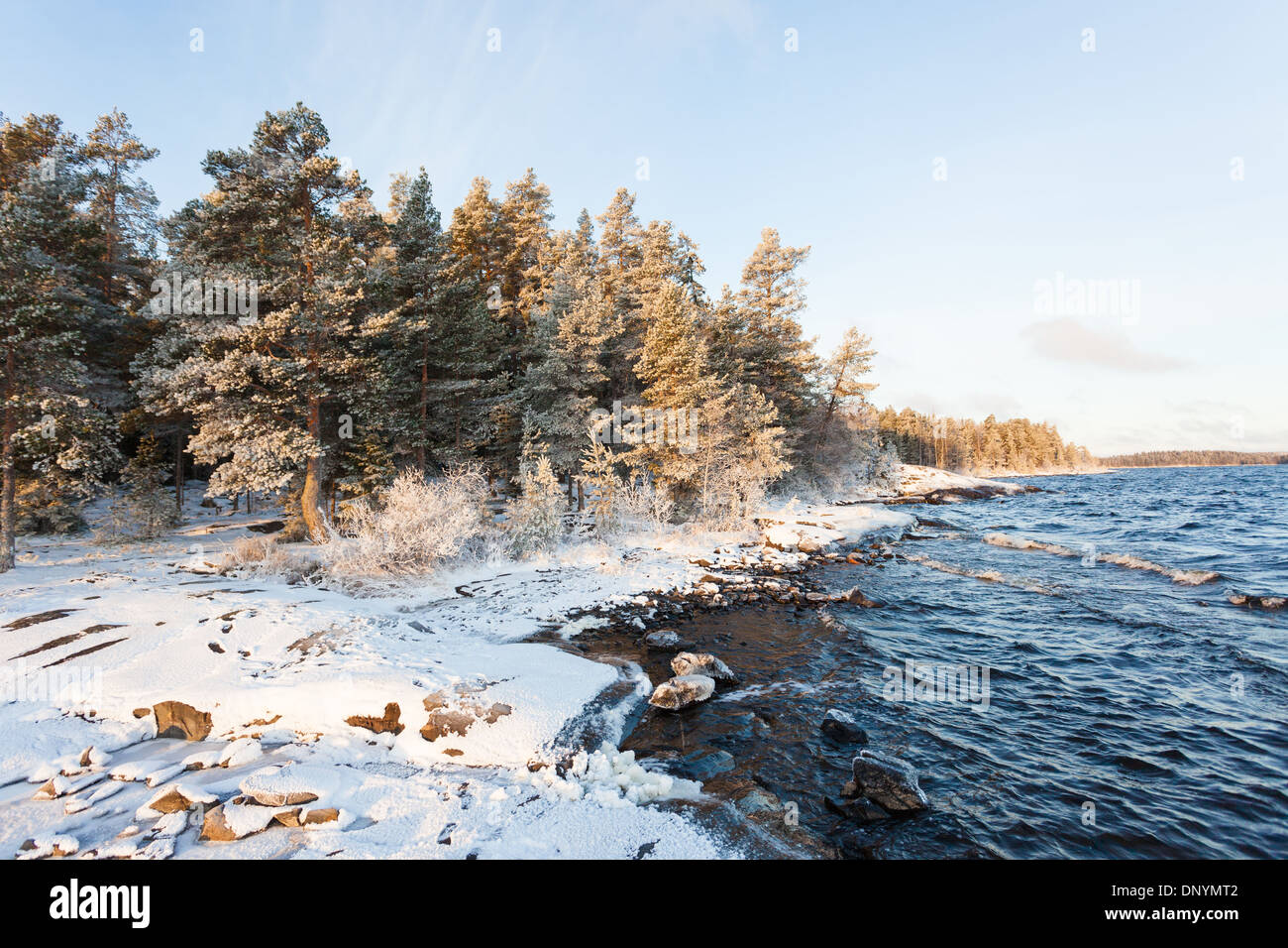 Lakefront at winter Stock Photo - Alamy