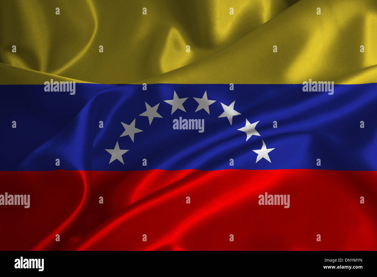 Official Venezuelan Flag