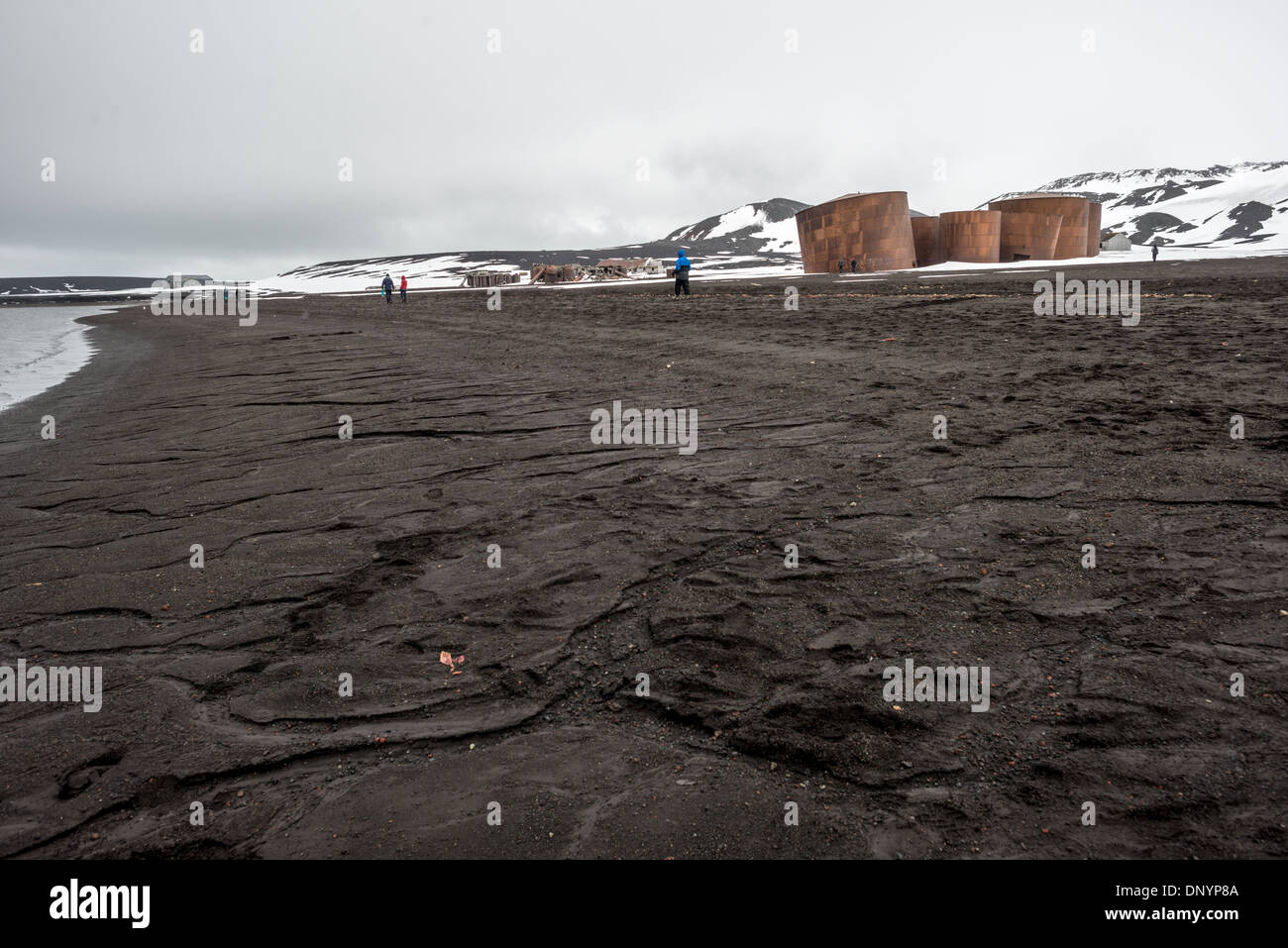 ANTARCTICA - The dark, course sand of the beach at Whalers Bay on ...