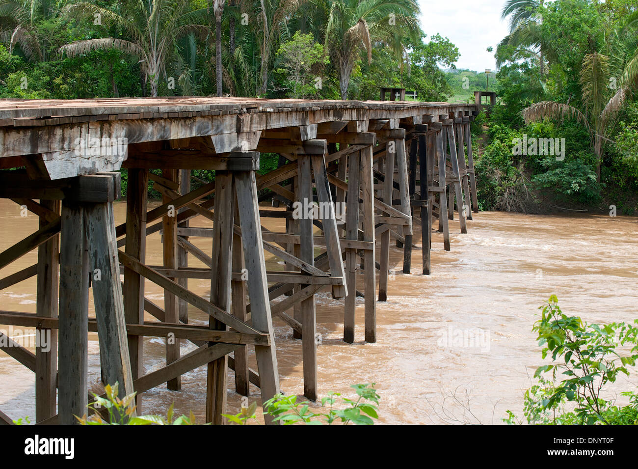 Rain Rainforest Bridge Wood High Resolution Stock Photography and ...