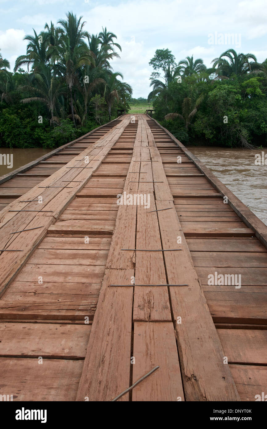 Rain Rainforest Bridge Wood High Resolution Stock Photography and ...
