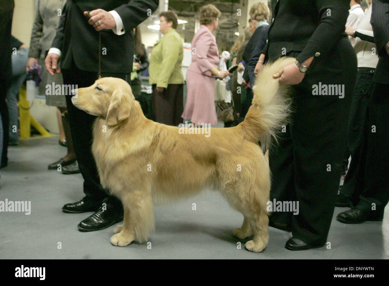 Ken matthews hi-res stock photography and images - Alamy