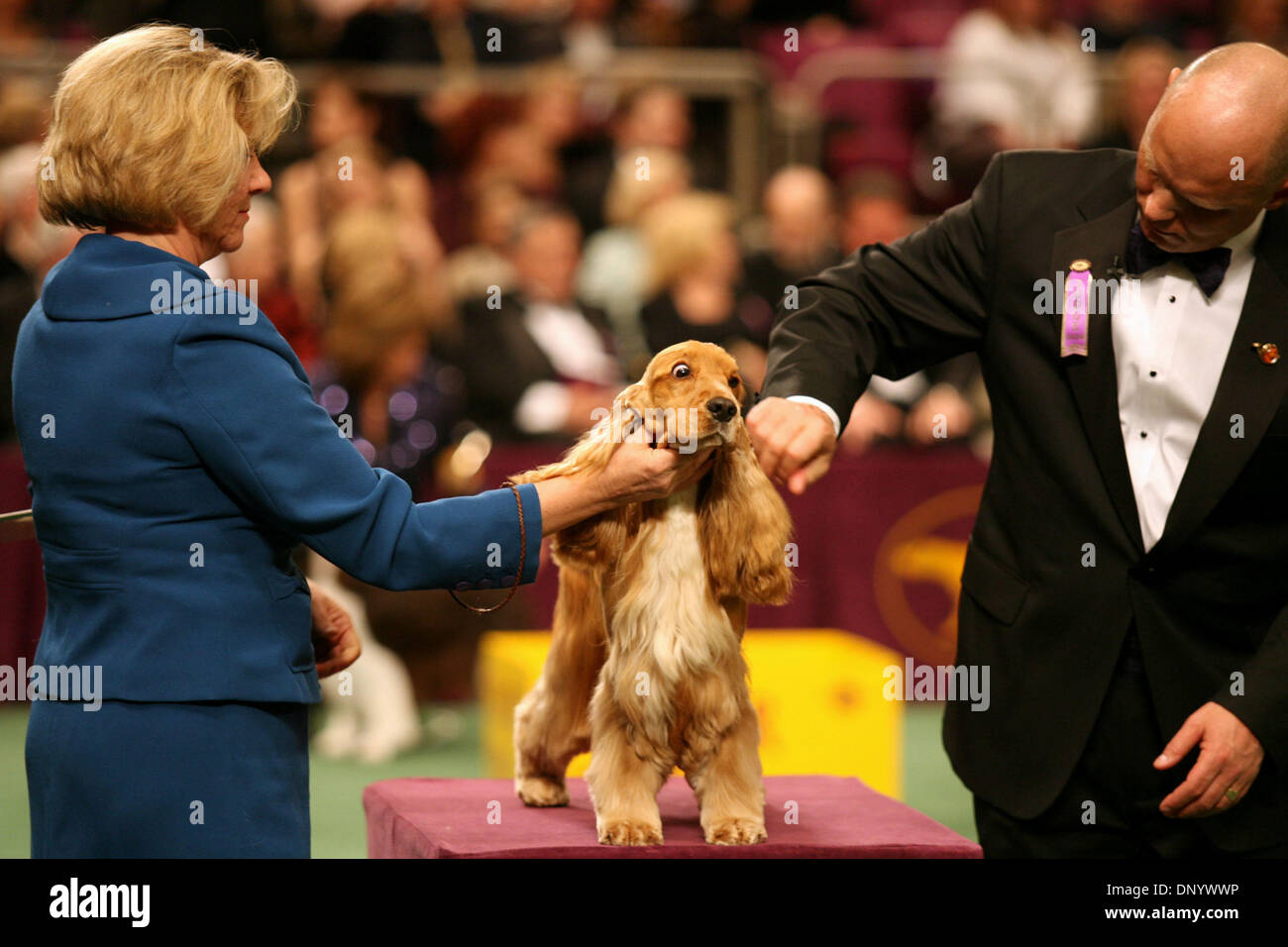 Feb 14, 2006; Manhattan, New York, USA; A judge looks over an English ...