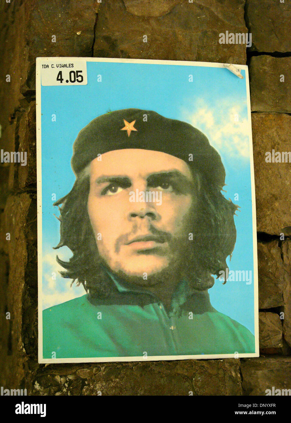 Born 1492 hi-res stock photography and images - Alamy