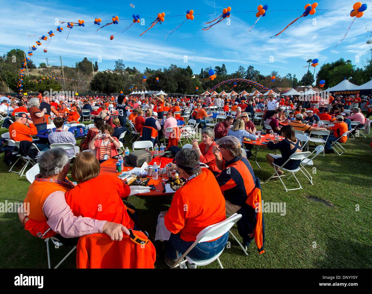 Wild Tailgate Party Flash