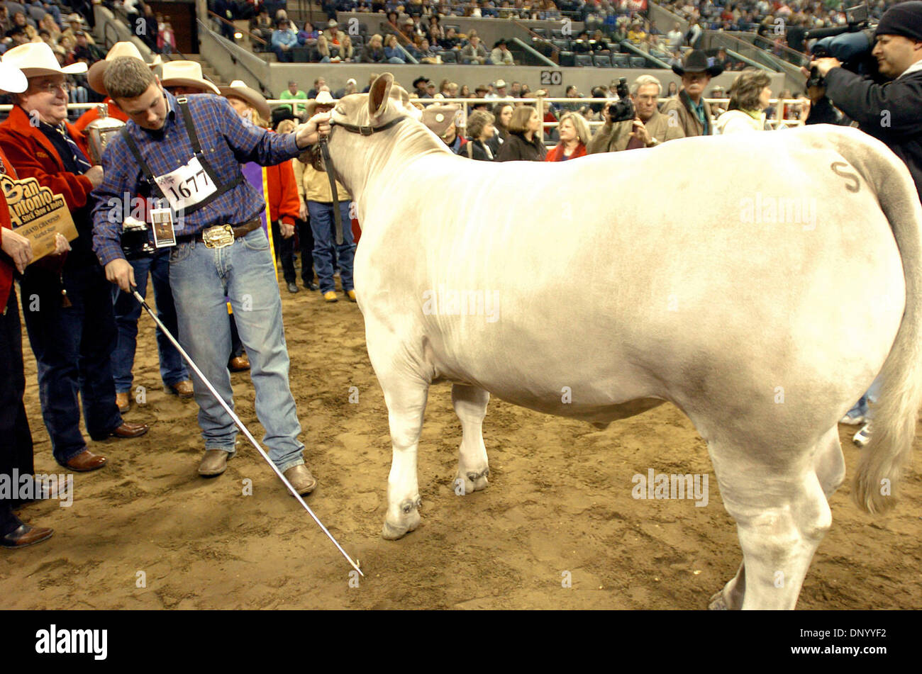 Champion steer hi-res stock photography and images - Alamy