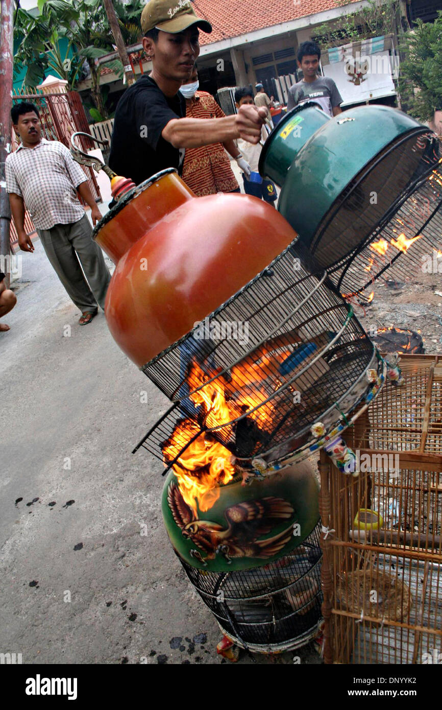 Infected burn hi-res stock photography and images - Alamy