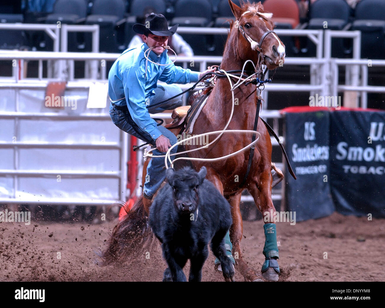 Calf roping off horse hi-res stock photography and images - Alamy