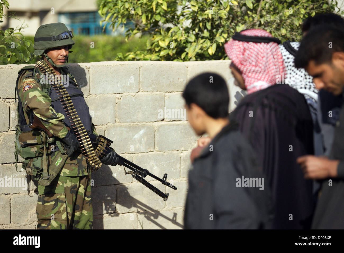 Suspected wolf hi-res stock photography and images - Alamy