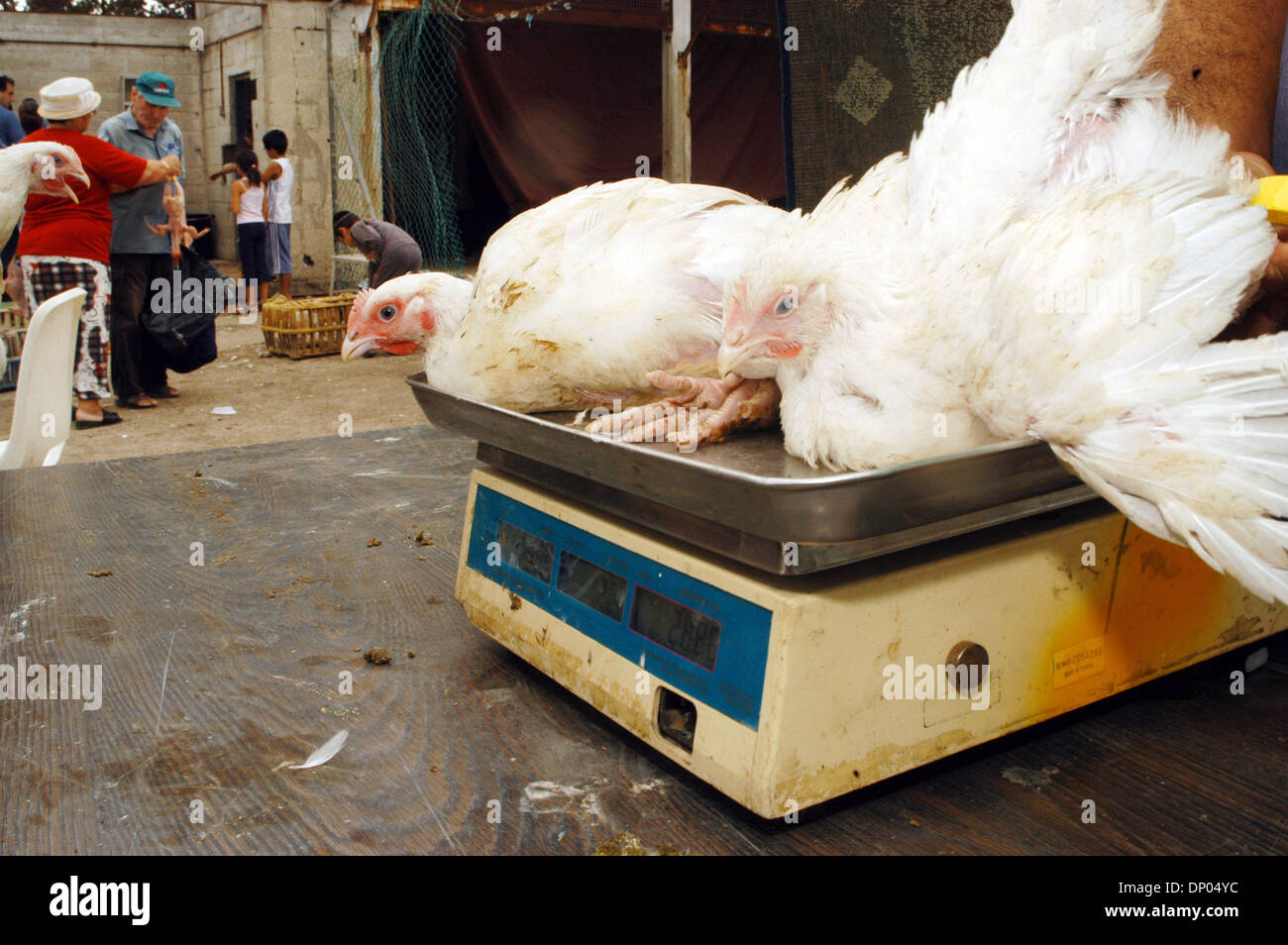 Day atonement yom kippur in hi-res stock photography and images - Alamy
