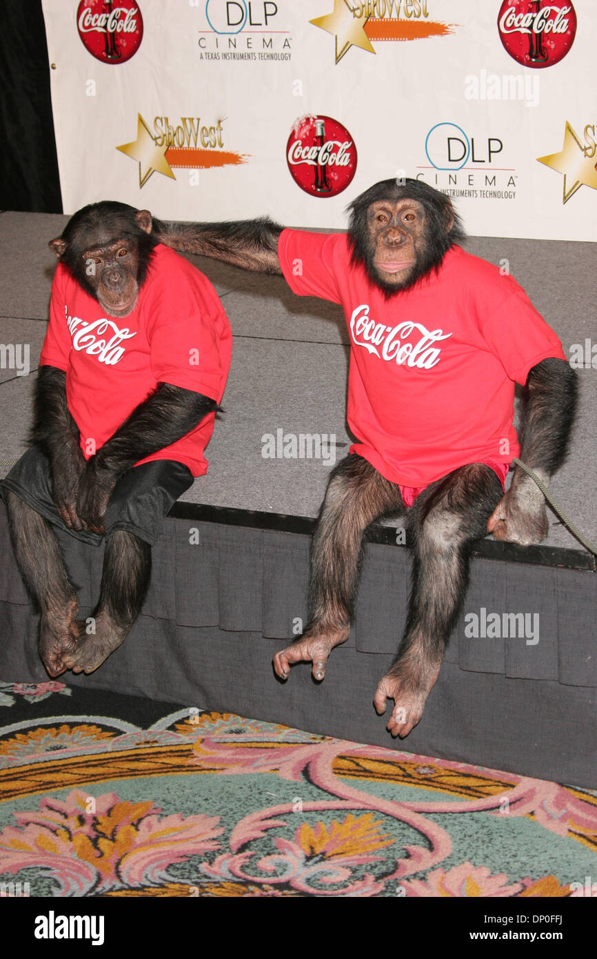 Mar 16, 2006; Las Vegas, NV, USA; Chimpanzees (CODY and SABLE) are from ...