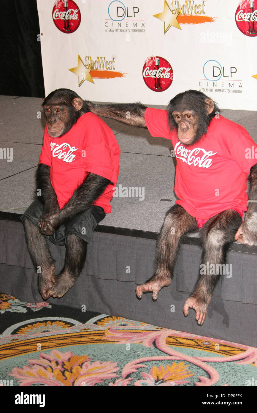 Mar 16, 2006; Las Vegas, NV, USA; Chimpanzees (CODY and SABLE) are from ...