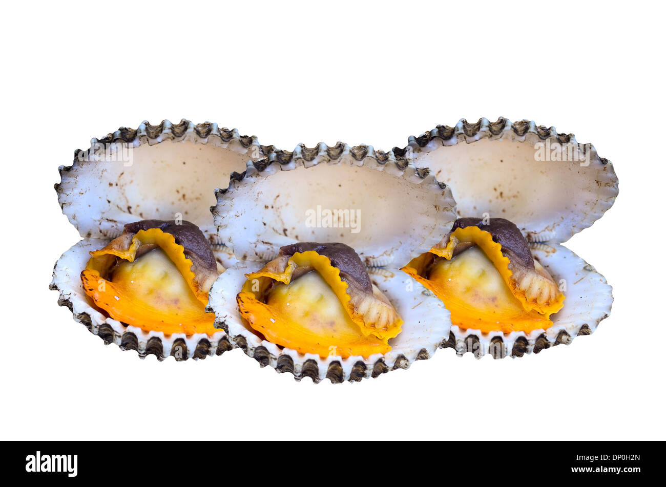 Fresh Steamed cockles on white background Stock Photo - Alamy