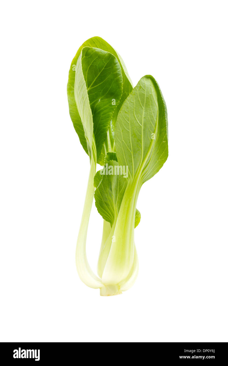 Food pak choi isolated hi-res stock photography and images - Alamy