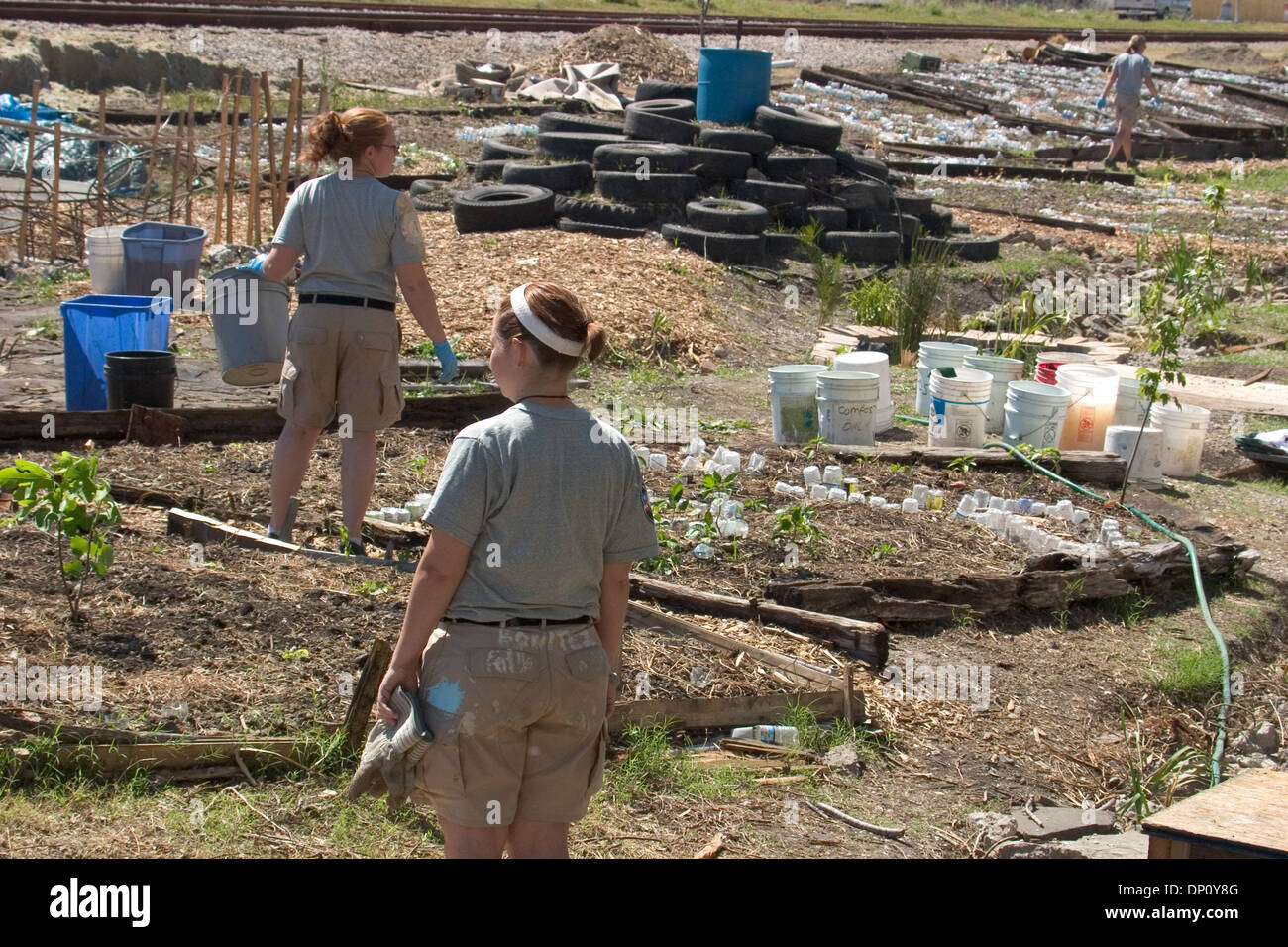 Phytoremediation hi-res stock photography and images - Alamy