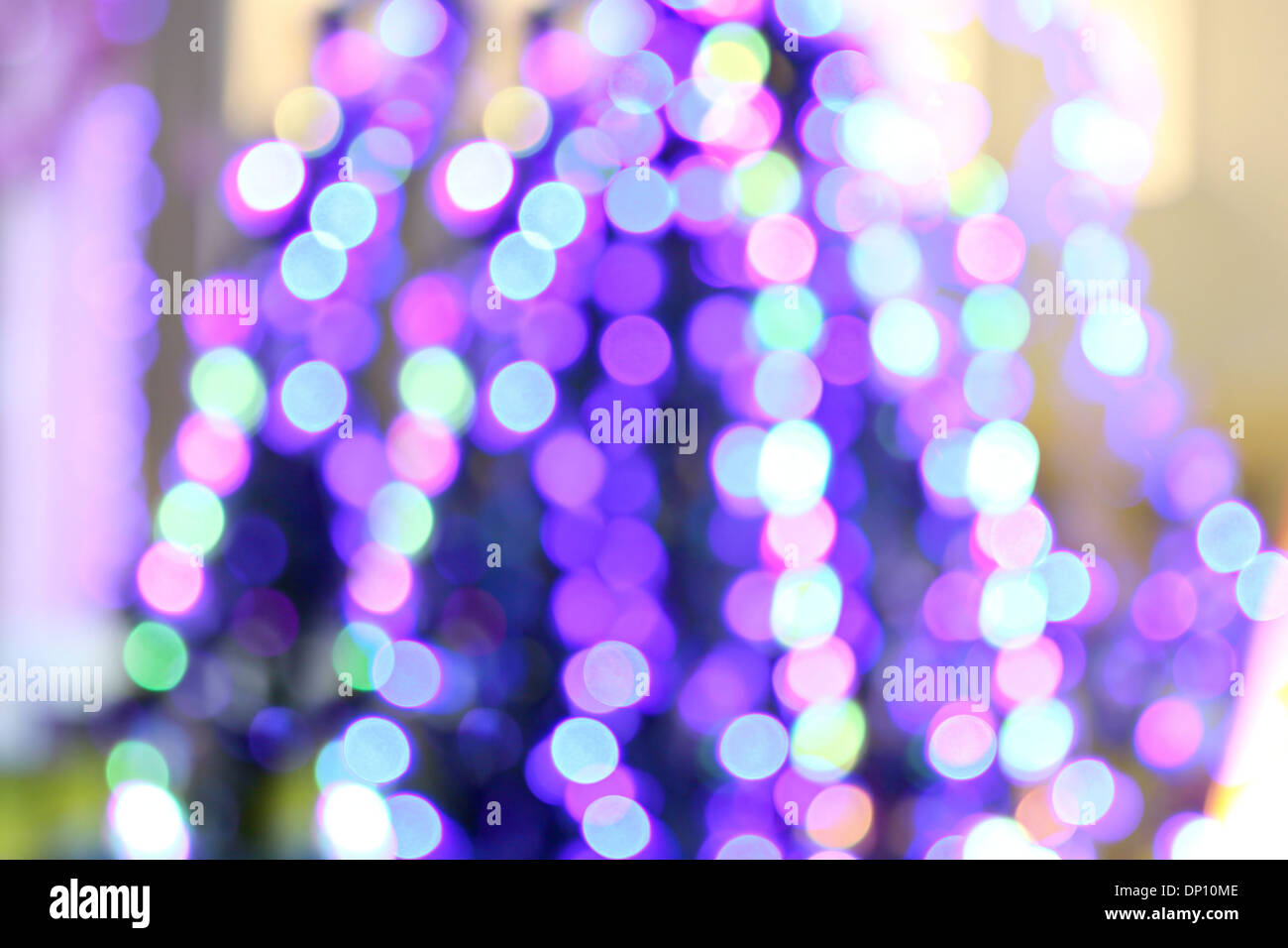 Purple Lights Photography