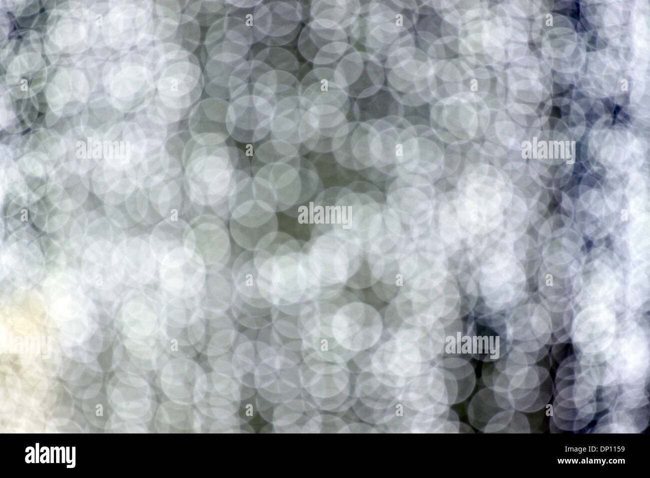 Abstract christmas in white lights of background Stock Photo - Alamy