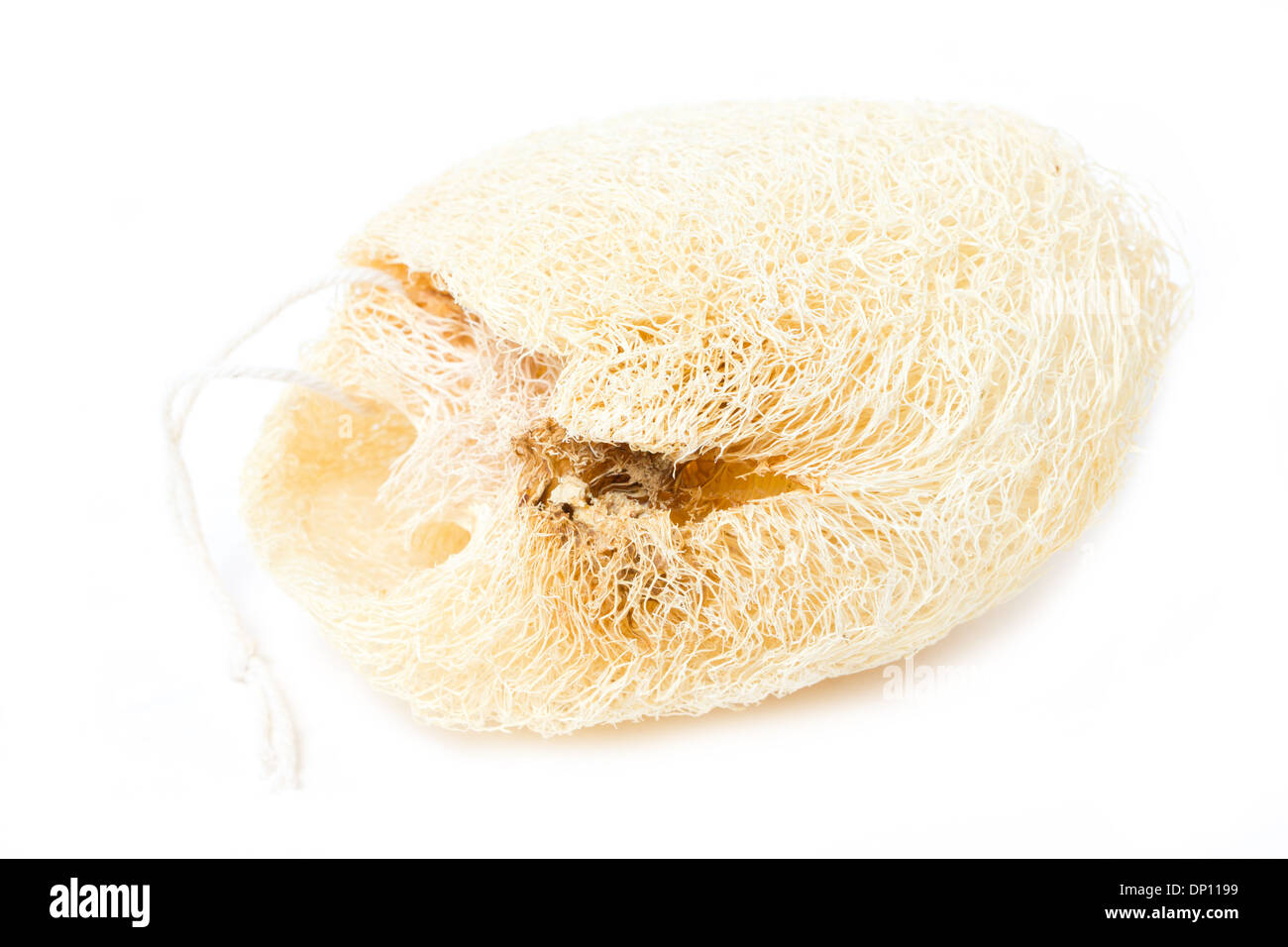 Natural loofah sponge isolated on white Stock Photo - Alamy
