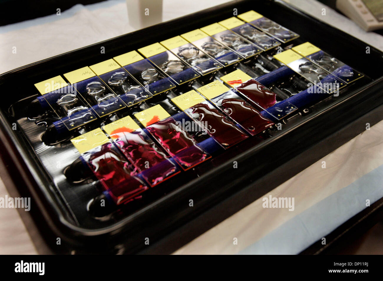 Laura Embry Redondo Beach