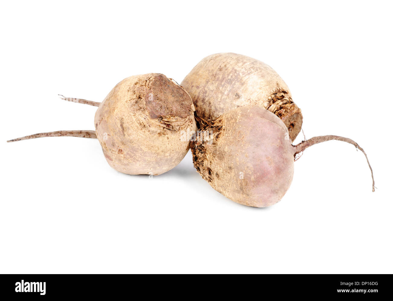Beet purple isolated on white background Stock Photo - Alamy