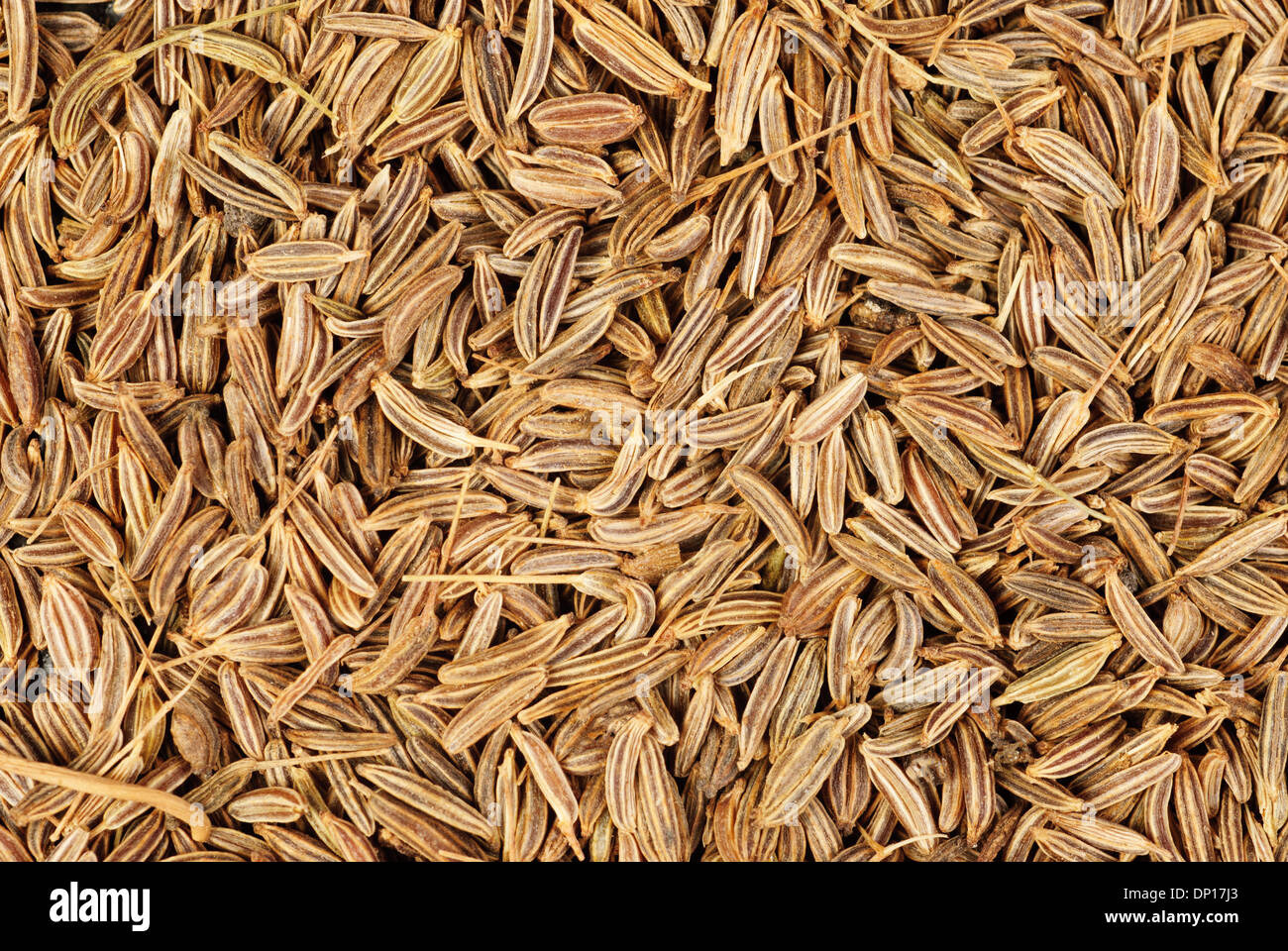 cumin seeds macro as background Stock Photo - Alamy