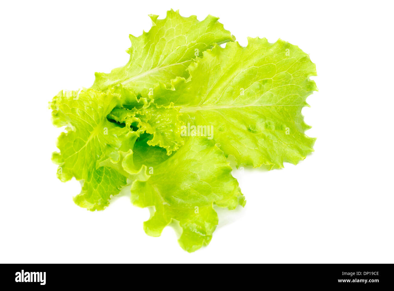 fresh salad isolated on white background Stock Photo - Alamy