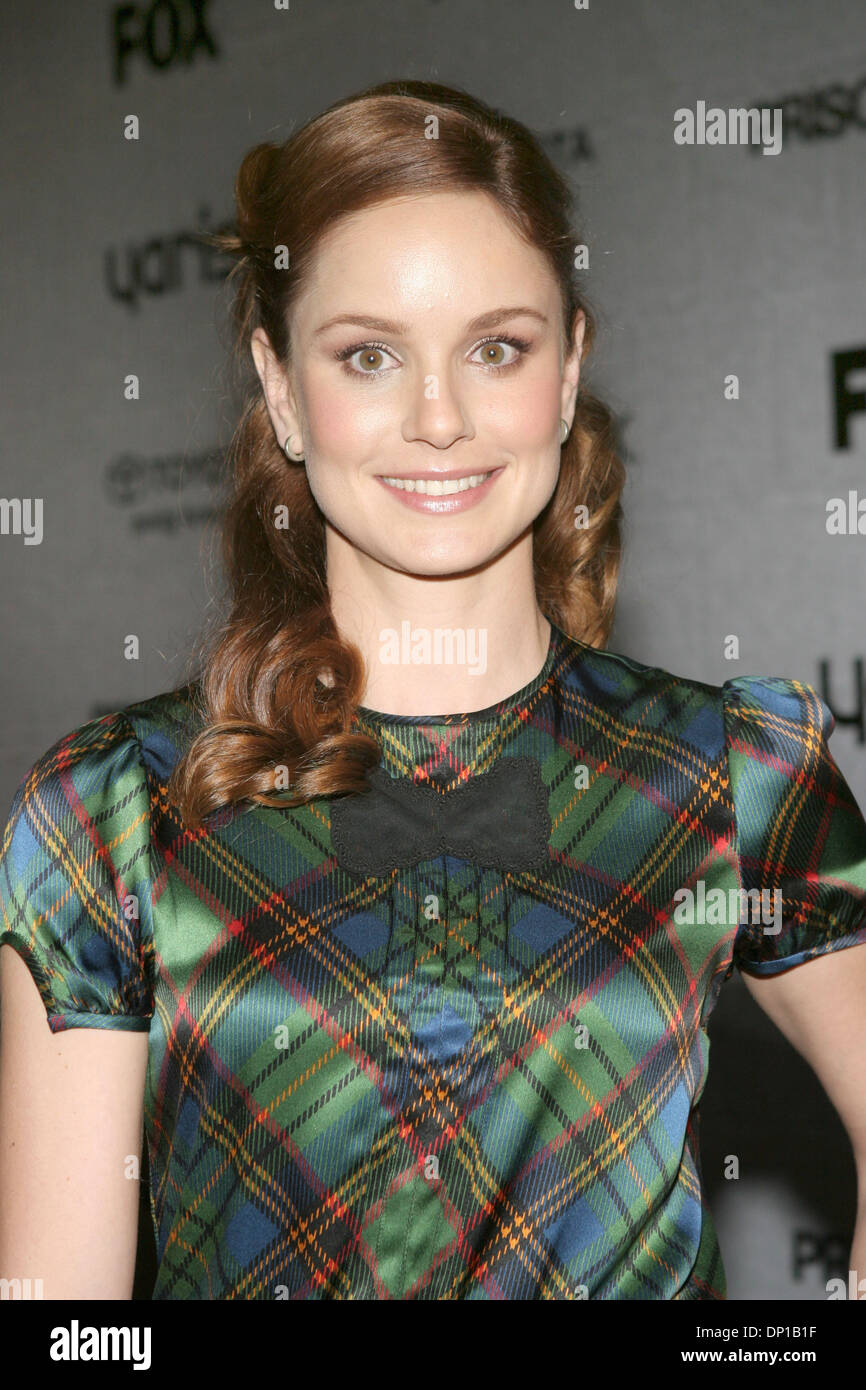 Prison break sarah wayne callies tv hi-res stock photography and images ...