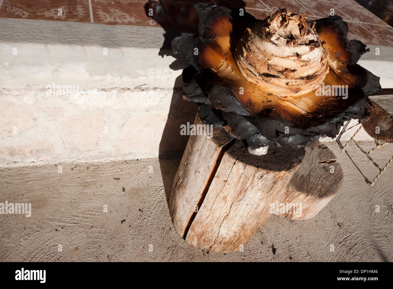 Mashed agave plants after burned. Matatlan, Oaxaca. Mexico Stock Photo ...