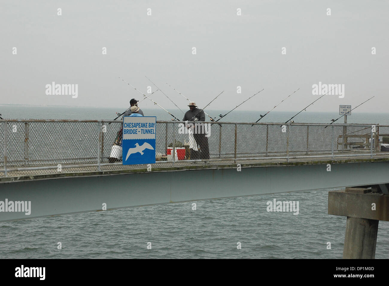 Chesapeake bay bridge sea gull hi-res stock photography and images - Alamy