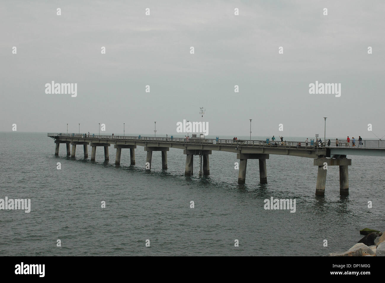 Chesapeake bay bridge sea gull hi-res stock photography and images - Alamy