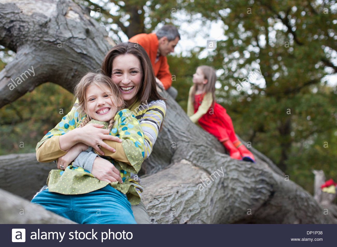 Family Woodland Stock Photos & Family Woodland Stock Images - Alamy
