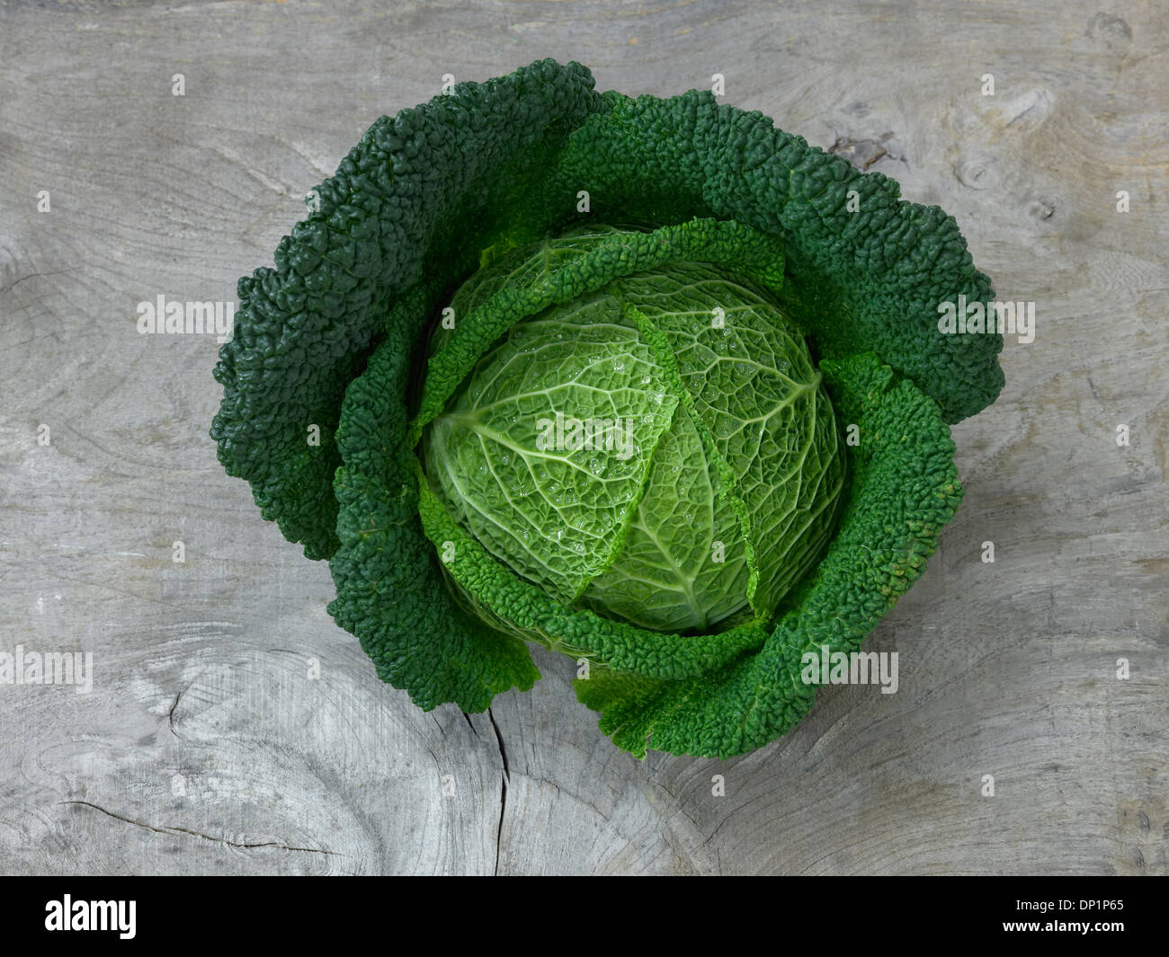 Savoy king cabbages hi-res stock photography and images - Alamy