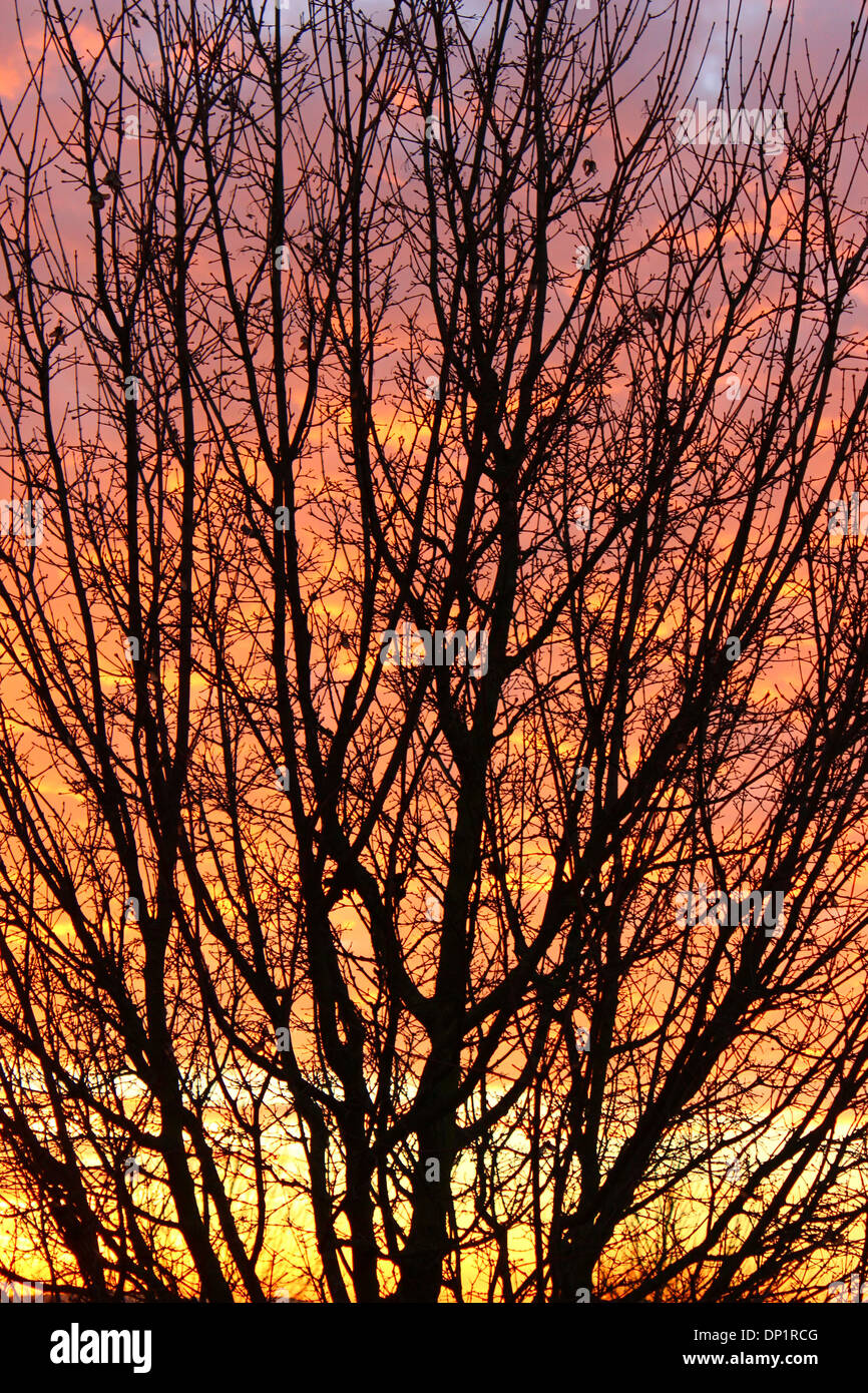 Sky on fire Stock Photo - Alamy