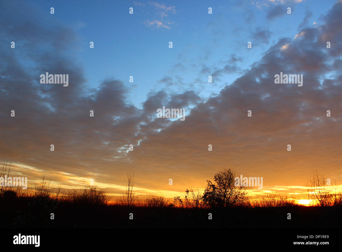 Yellow sunset hi-res stock photography and images - Alamy