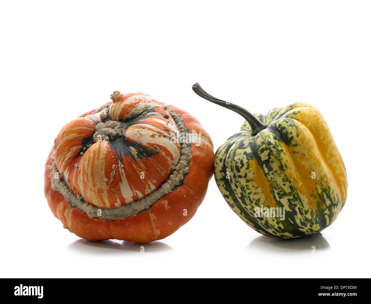 Real pumpkin Cut Out Stock Images & Pictures - Alamy