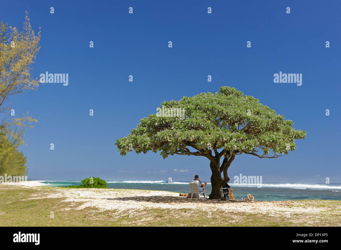 La Prairie beach, Mauritius Stock Photo - Alamy