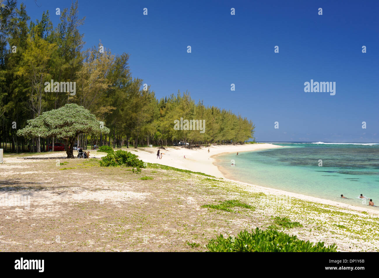 Sandy beach and turquoise water of Mauritius Stock Photo - Alamy