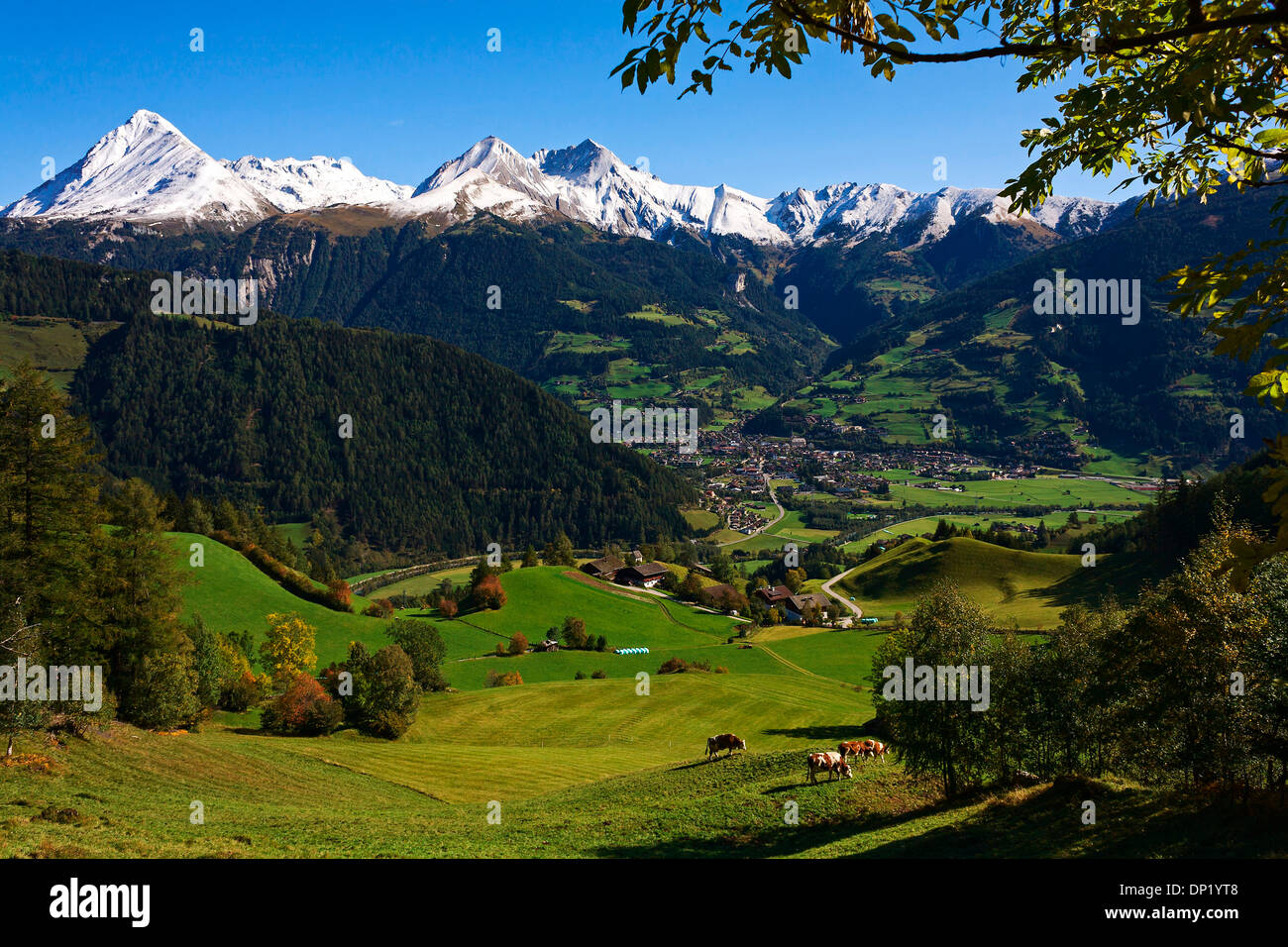 Matrei hi-res stock photography and images - Alamy