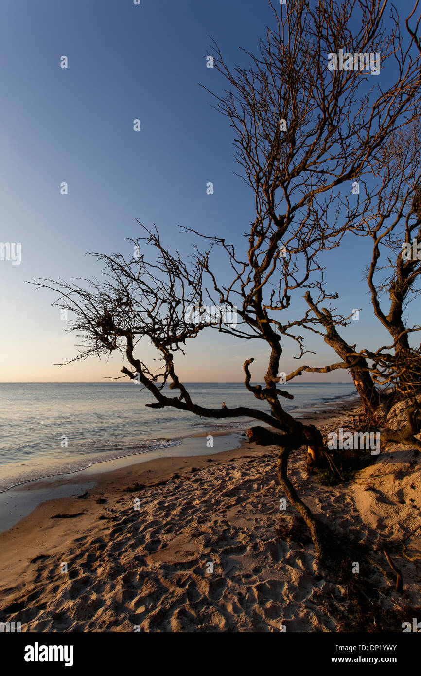 Western shore of dead sea hi-res stock photography and images - Alamy