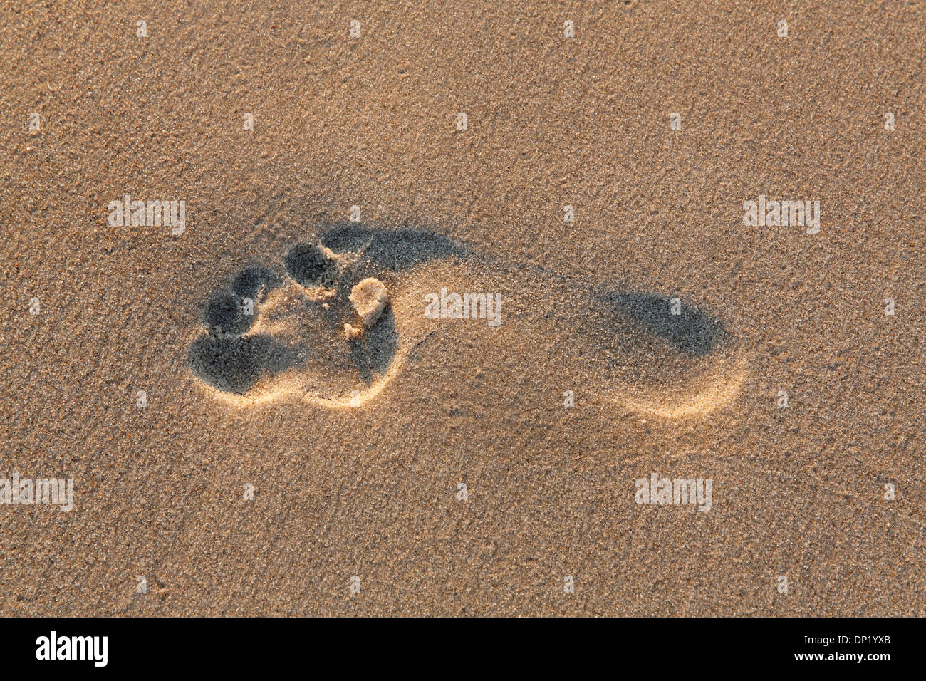 Light footprint hi-res stock photography and images - Alamy