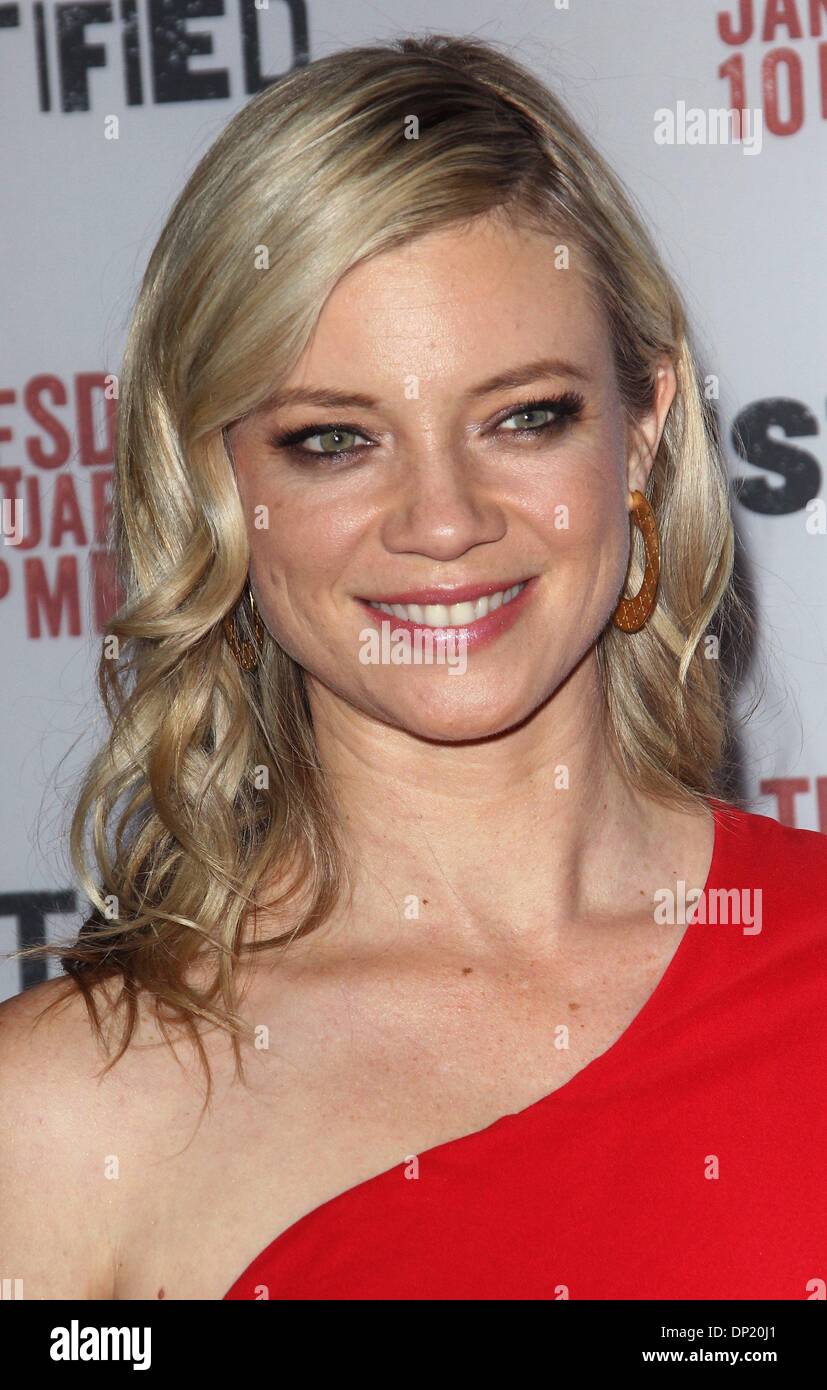 Los Angeles, California, USA. 6th Jan, 2014. Actress AMY SMART attends ...