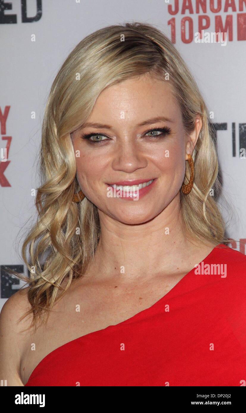 Los Angeles, California, USA. 6th Jan, 2014. Actress AMY SMART attends ...