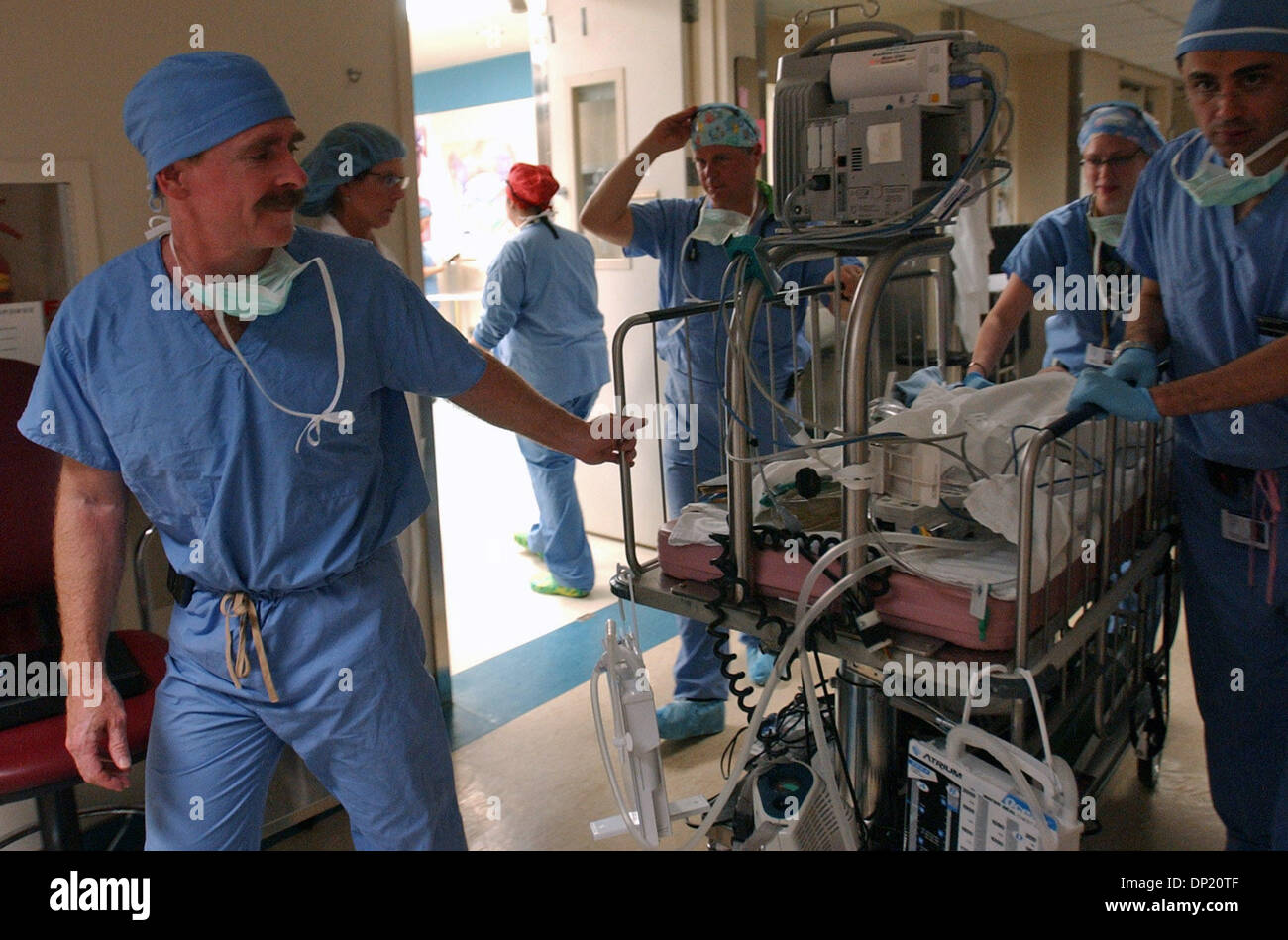 Joey belle hi-res stock photography and images - Alamy