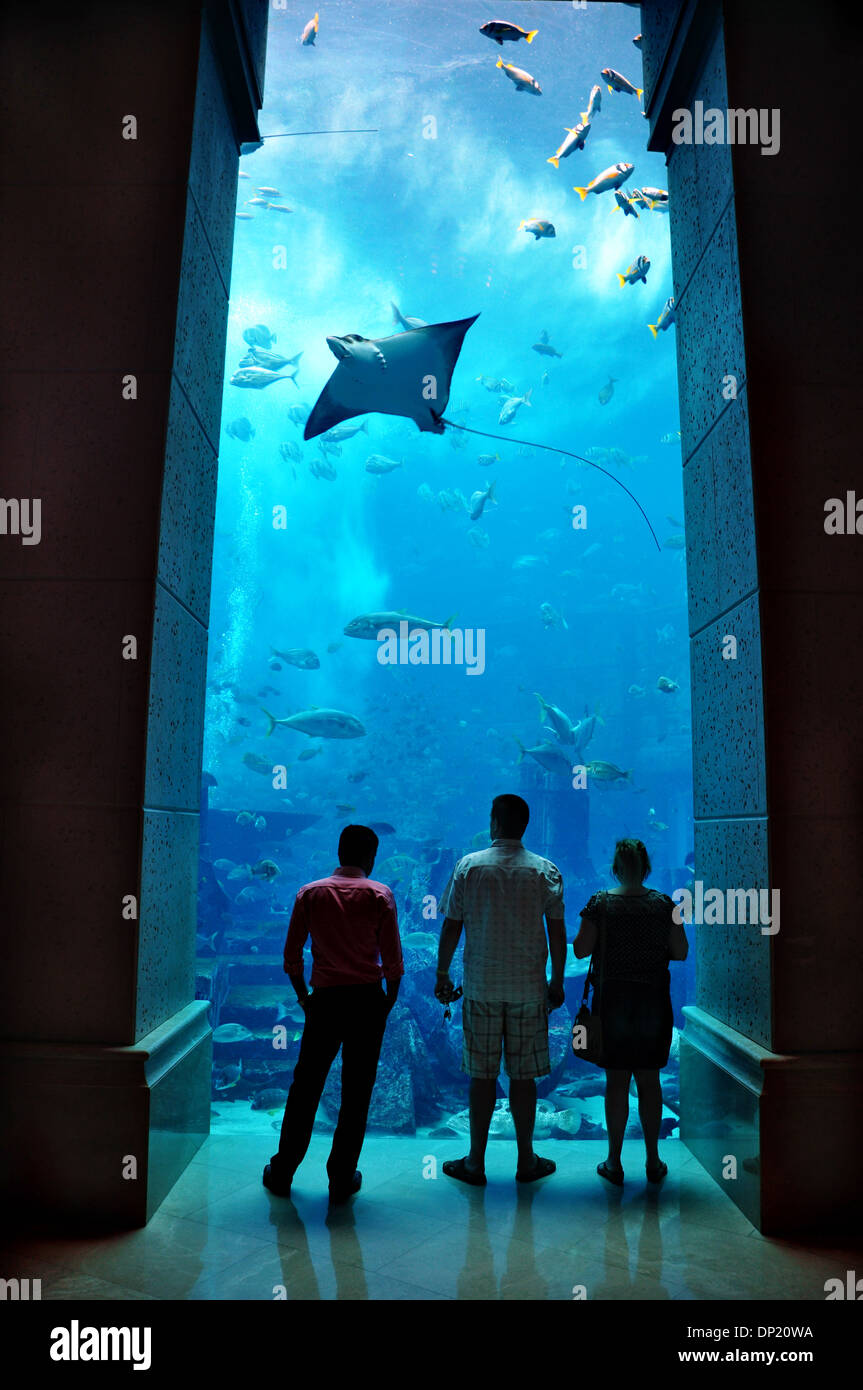 Underwater fish atlantis hi-res stock photography and images - Alamy