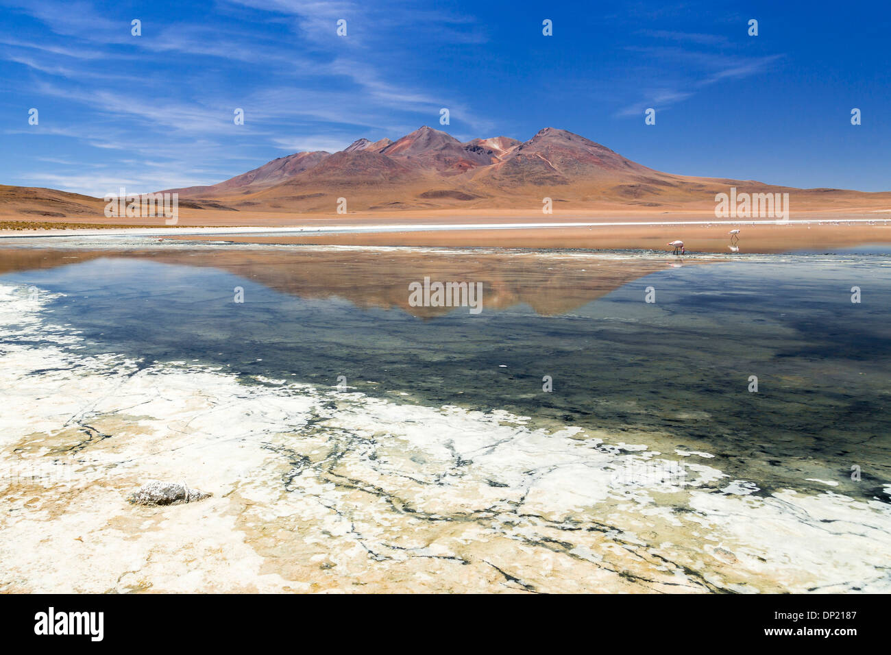 The lake Laguna Cañapa, Potosí Department, Altiplano, Andean Plateau ...