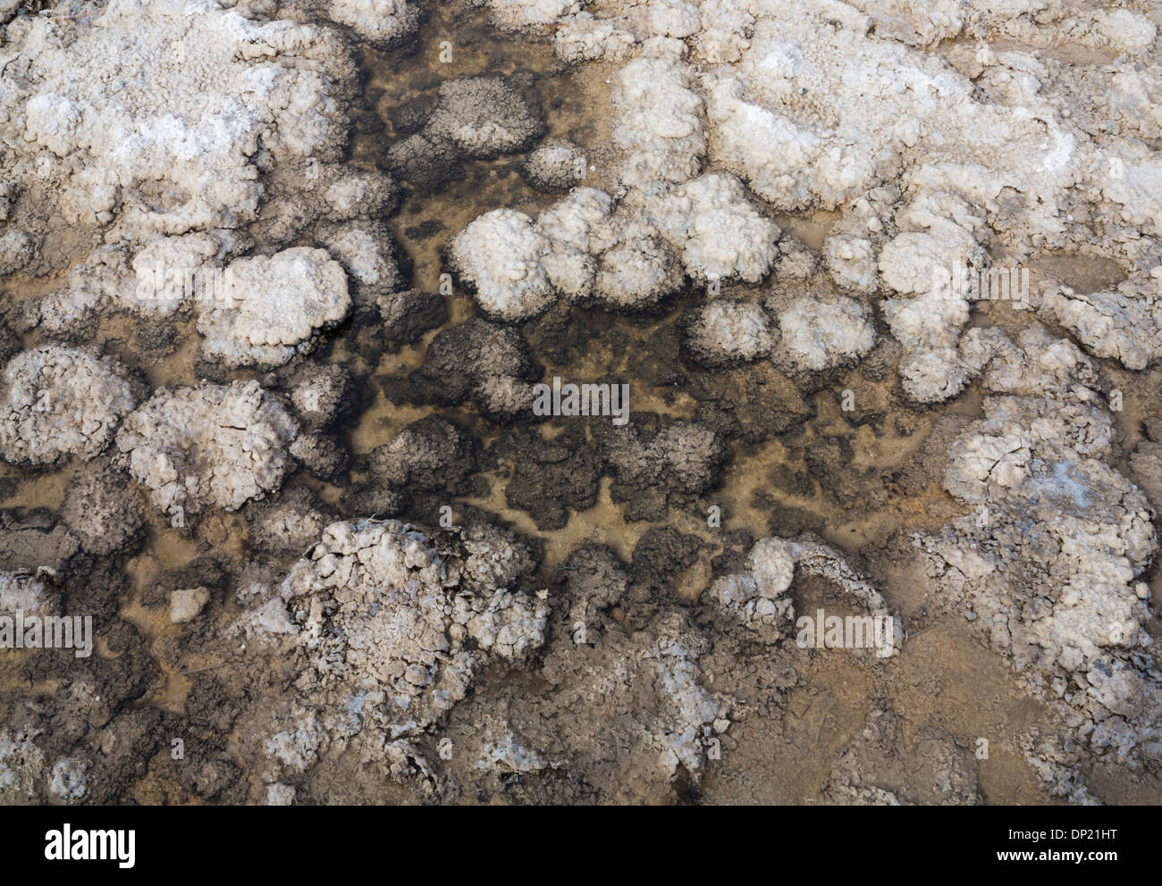 Shallow pool hi-res stock photography and images - Alamy