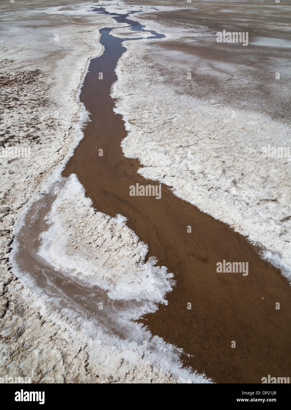 Salt marshes, central Death Valley, Death Valley National Park ...