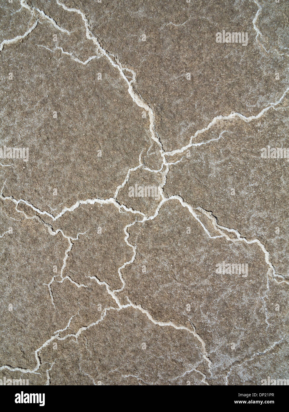Detailed view of salt deposits on the salt marshes, central Death ...