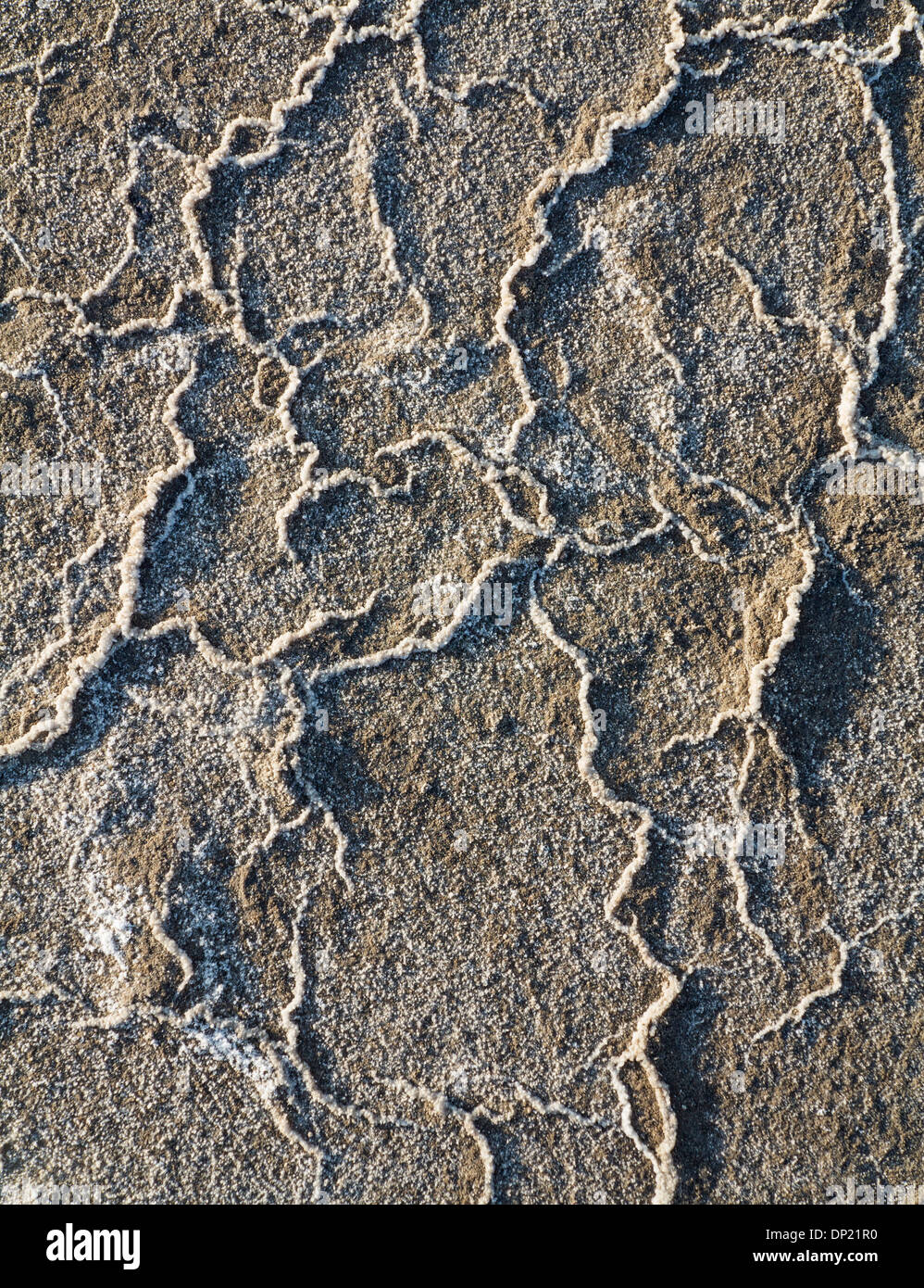 Salt deposits up close hi-res stock photography and images - Alamy