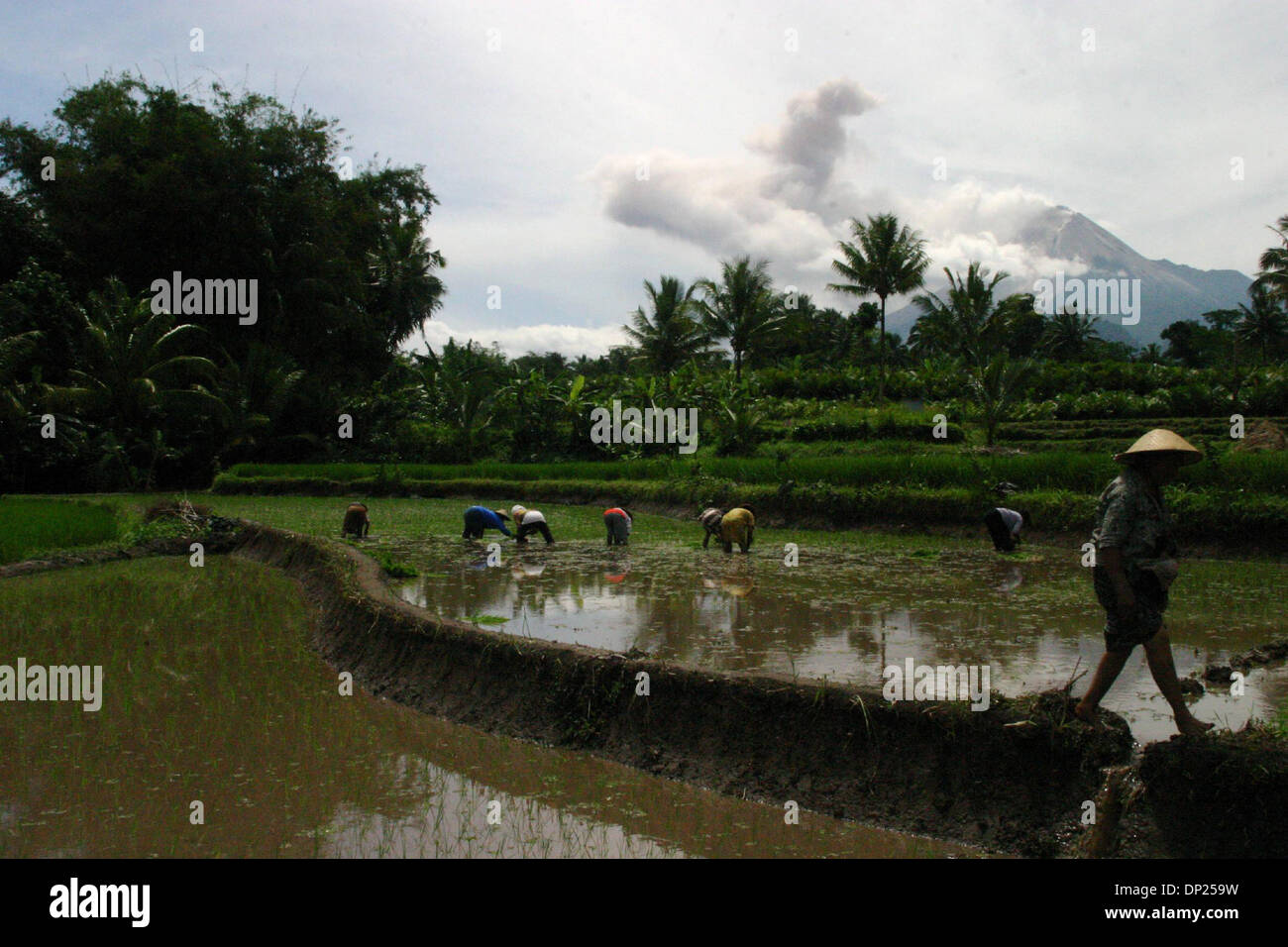 May 17, 2006; Jogjakarta, Central Java, INDONESIA; The 'Wedhus Gembel ...